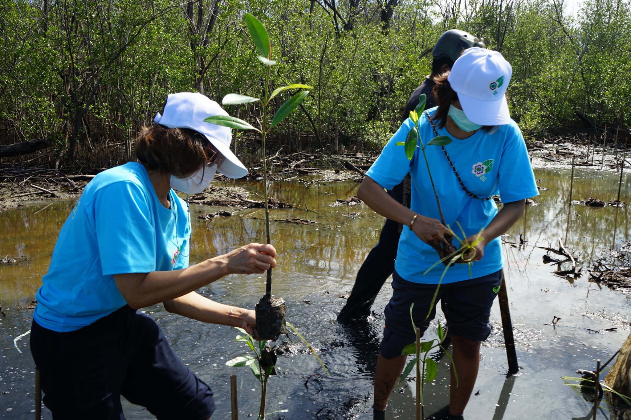 ADB Conserves Water, Loves Forest, together to conserve mangrove ...